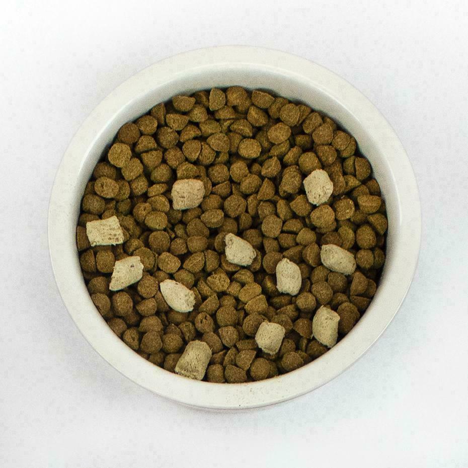 Buy Stella & Chewy's Dog Raw Blend Kibble, Red Meat Recipe For Small ...